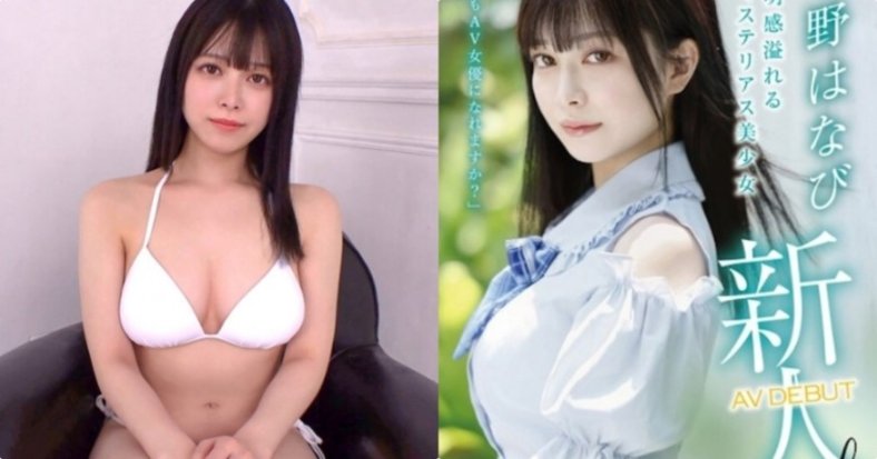 精选月野はなび文章专区-白鹭情