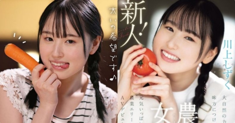 精选川上しずく文章专区-白鹭情